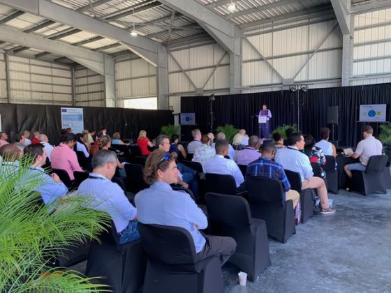 Bahamian Vincent Vanderpool-Wallace Shines at 2019 Caribavia on SXM ...