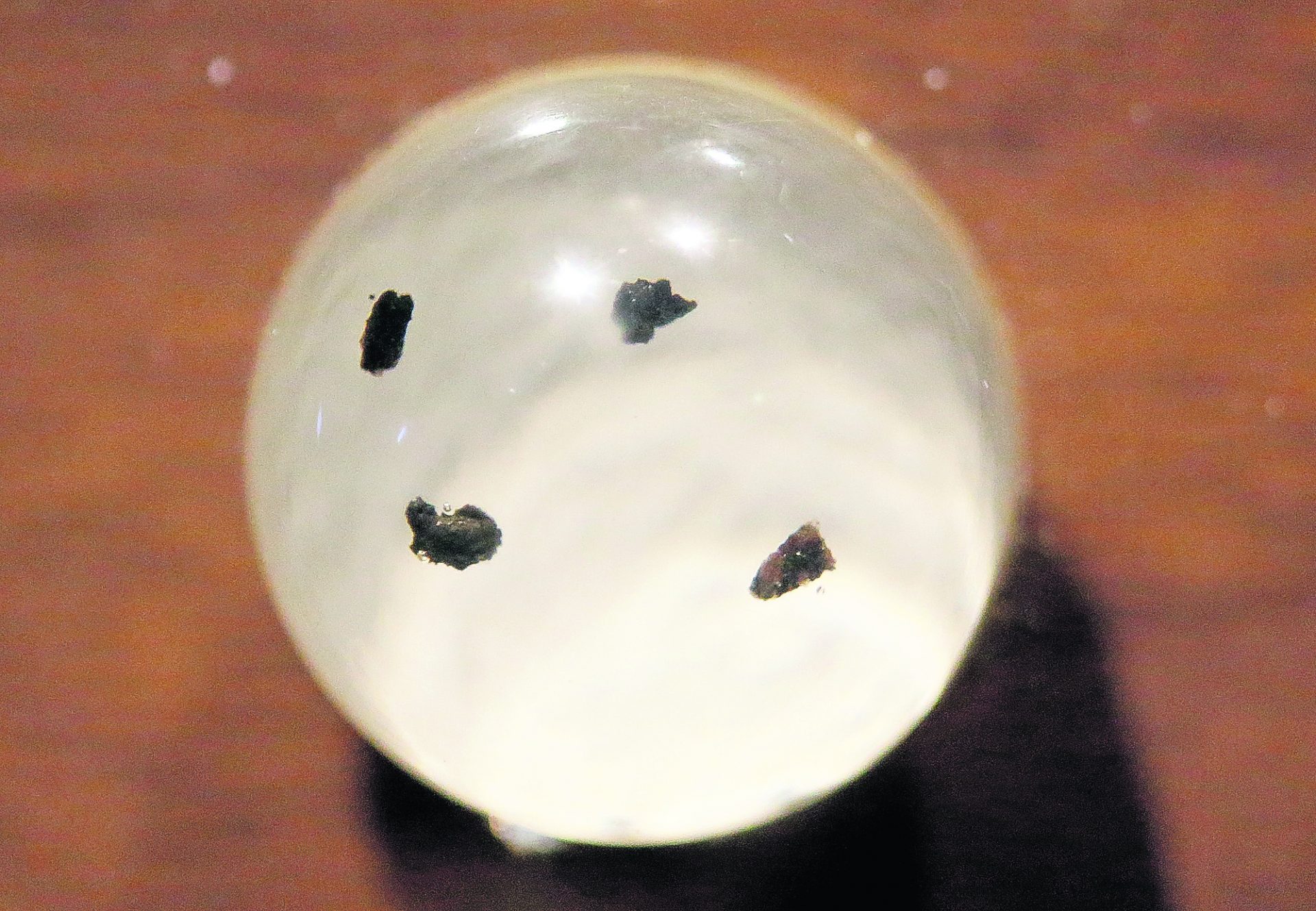 Moon rock hunter closes in on tracking down missing stones – Aruba Today