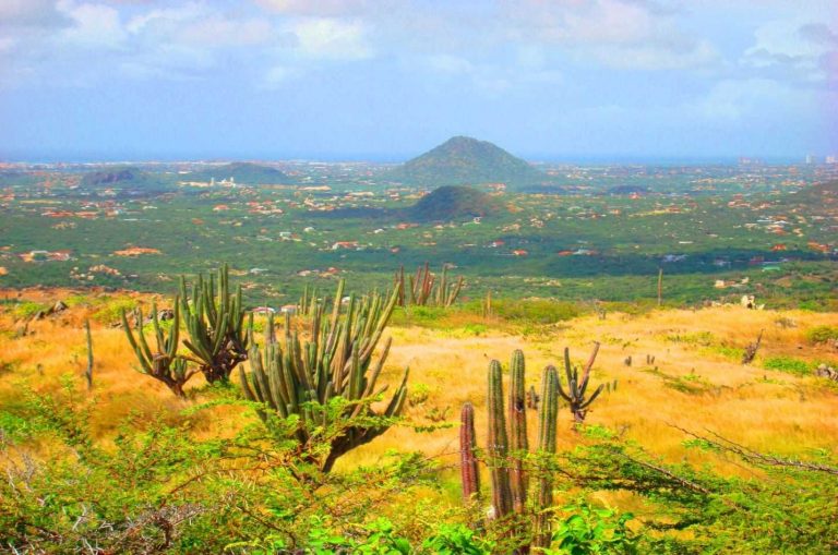 Episode (LXVI) – 66 – Aruba’s Rocky Landscape – Aruba Today