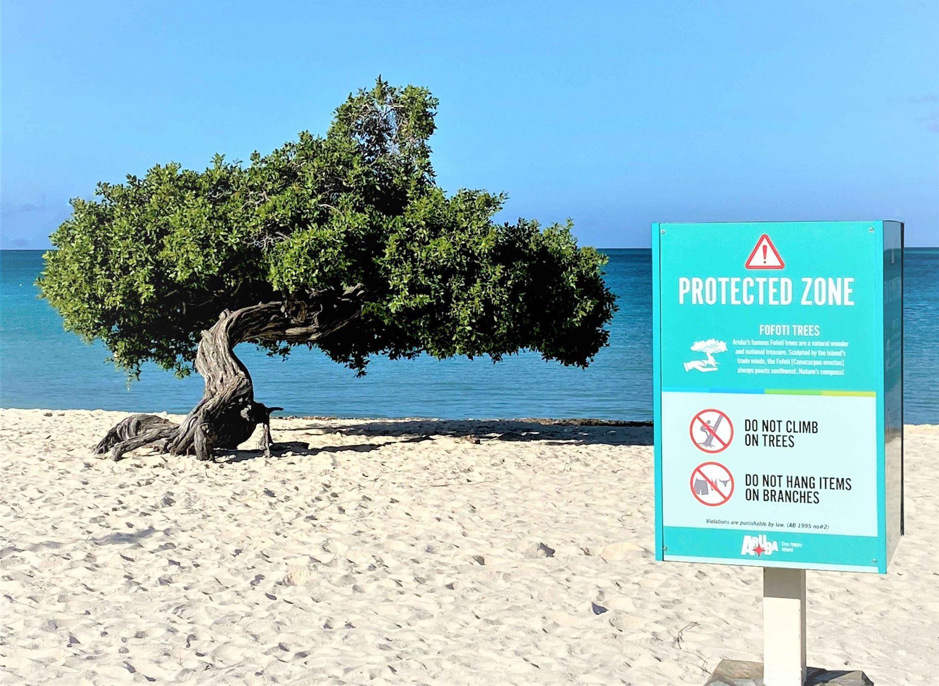 On the initiative of Aruba Tourism Authority: Prohibited to climb or ...