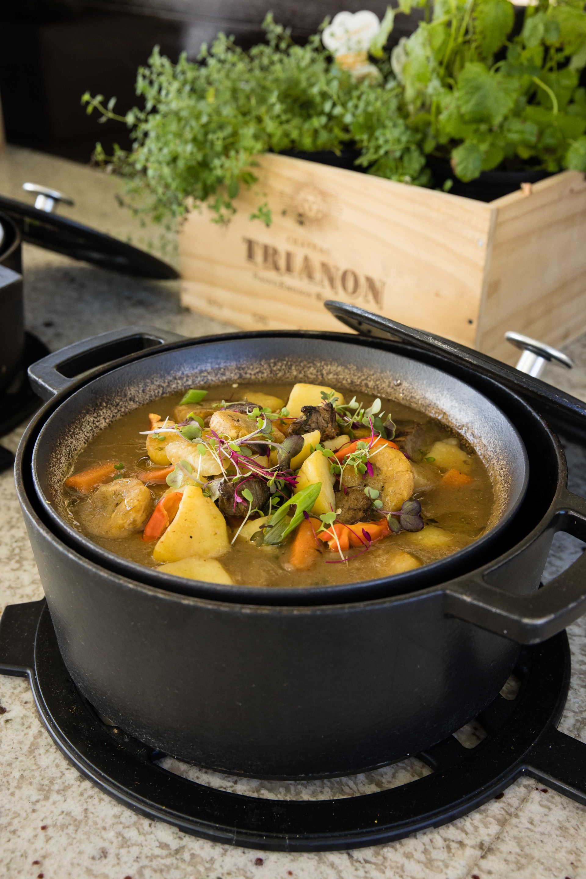 Elements Restaurant Present Aruba’s only Authentic Aruban & Caribbean ...