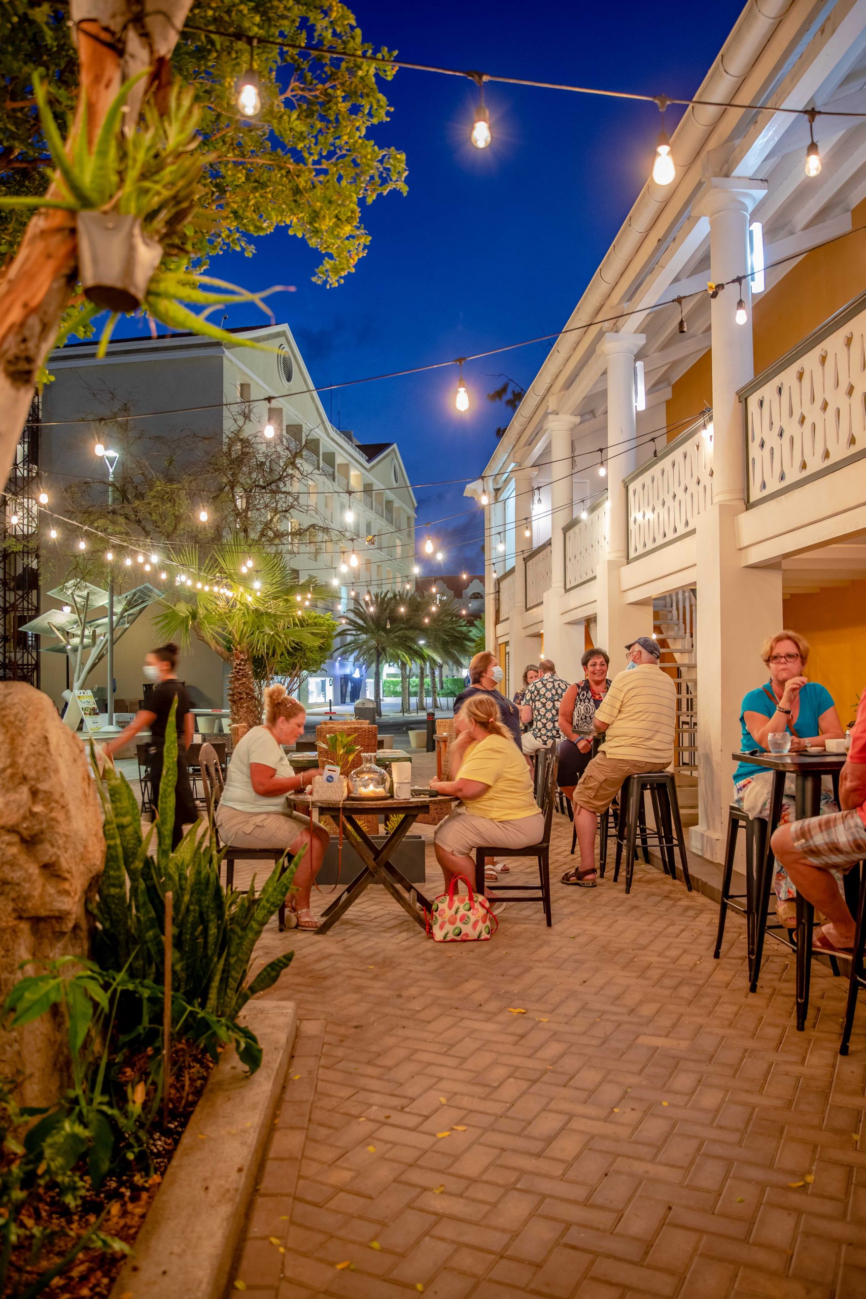 Restaurant Taste My Aruba: Sustainable, Sea-to-table Savor – Aruba Today