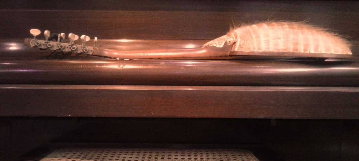 Episode C -100: Musical Instruments – Aruba Today