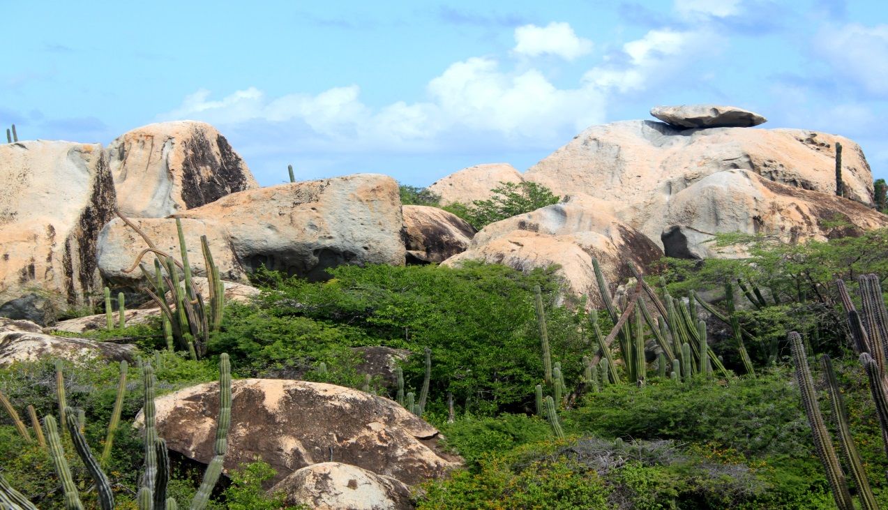 Island’s Rock Art – Aruba Today