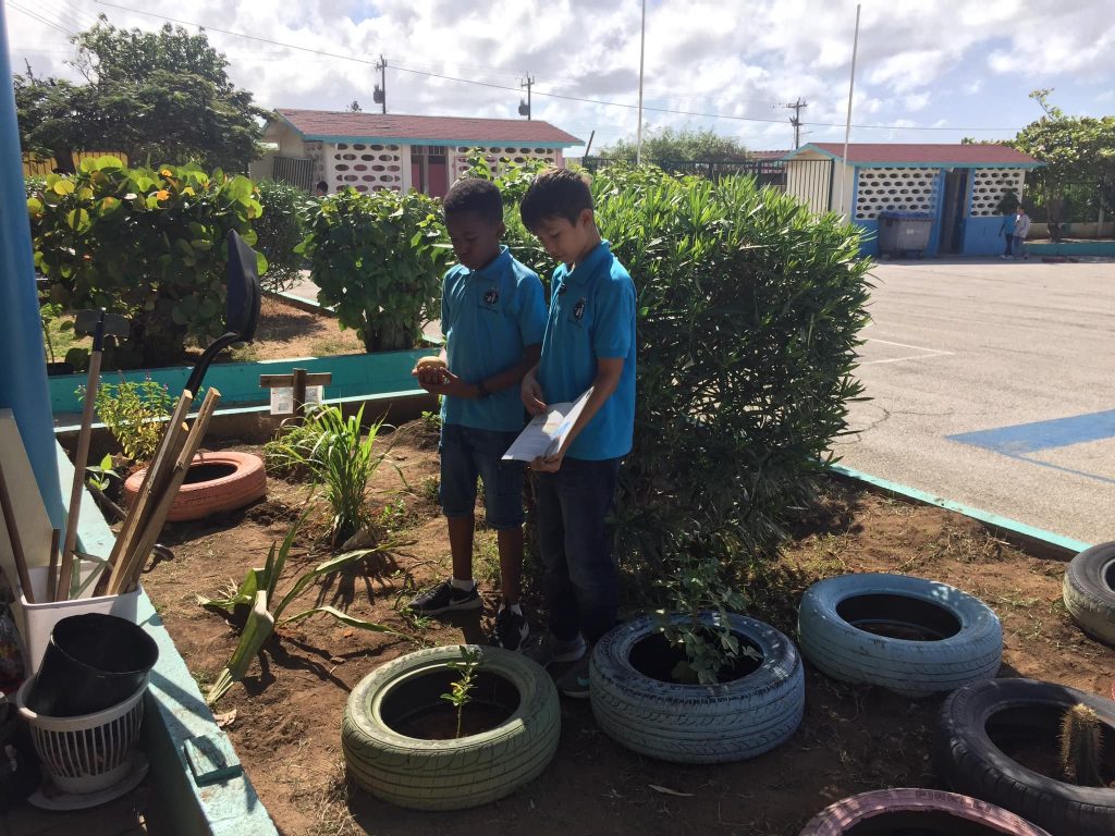 Teaching children about agriculture at school is essential – Aruba Today