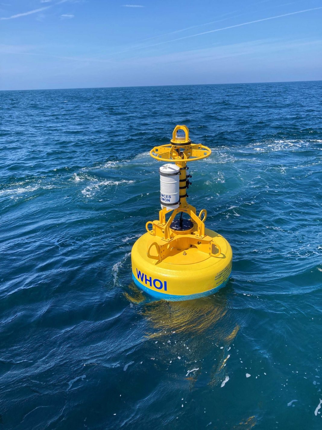 Robotic buoys developed to keep Atlantic right whales safe – Aruba Today