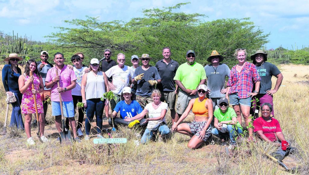 “Ban Lanta y Planta” with a mission to plant 10.000 native plants all ...