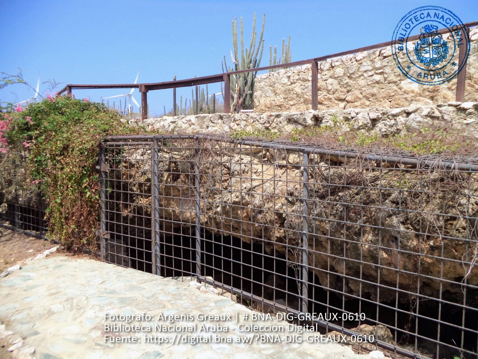 Visit the island’s popular cave sites! – Aruba Today