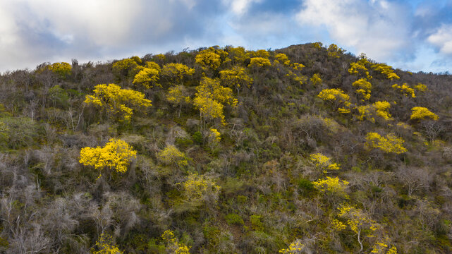 The district of Savaneta: A quick history guide to the island’s first ...