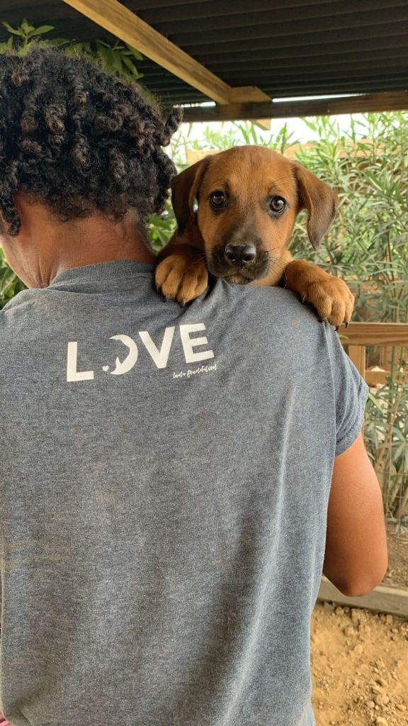 Luna Foundation and New Life for Paws received a grant from Last Chance ...