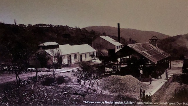 In celebration of 200 years of the Aruban gold rush: Get to know the ...