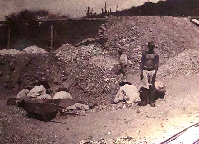 In celebration of 200 years of the Aruban gold rush: Get to know the ...