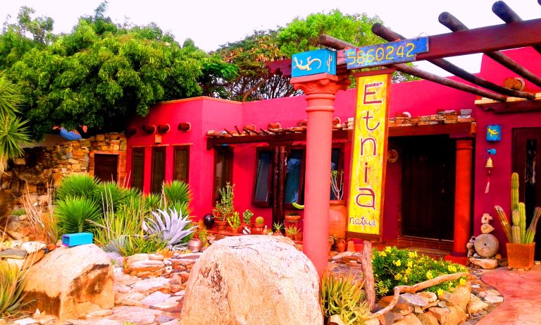 Episode CCCXXVI-326: Rooted in Aruba: Flora, Identity, and the Call to ...
